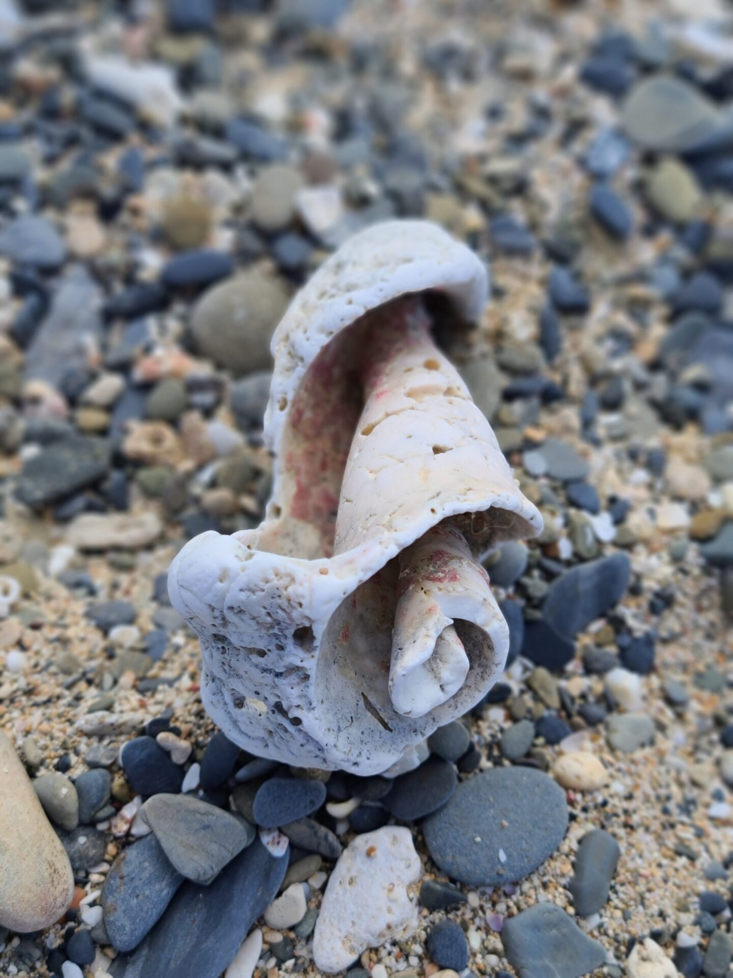 St. Croix – Christiansted Travel Review – Daily Dad Life